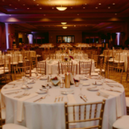 Photo Albums | Signature of Solon